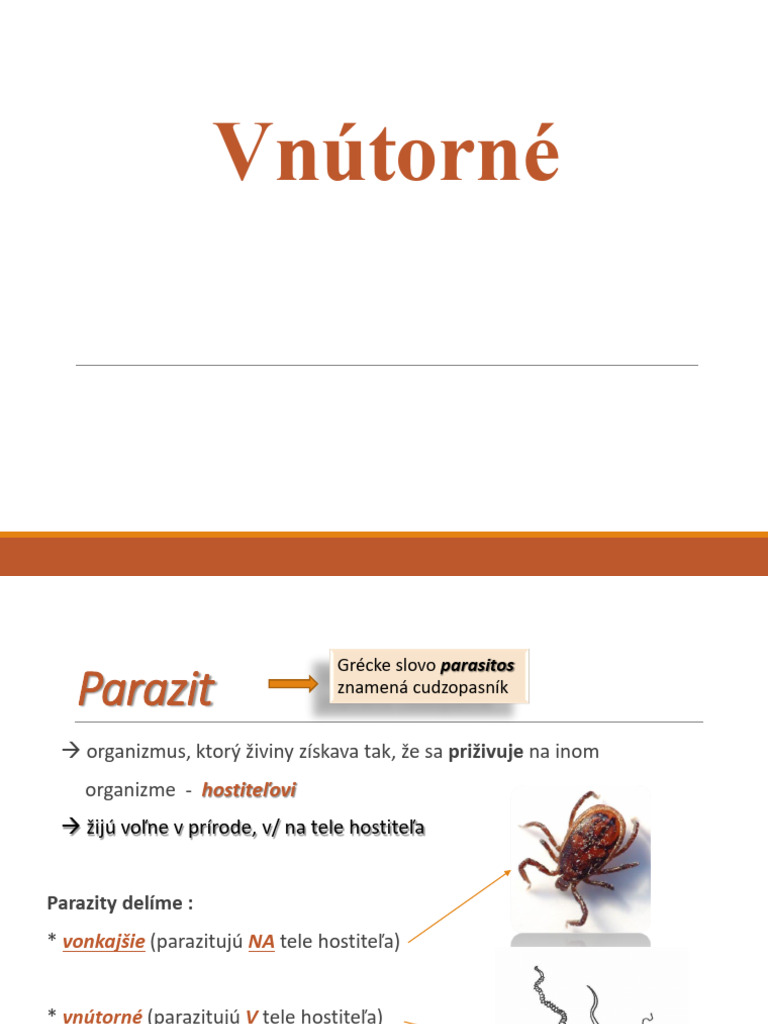 Vnútorné Parazity | PDF