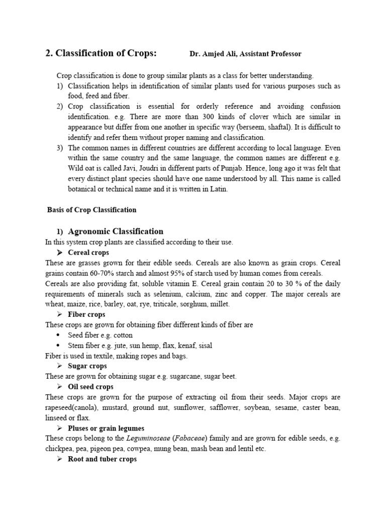 Crop Classification Methods Explained | PDF | Cereals | Crops