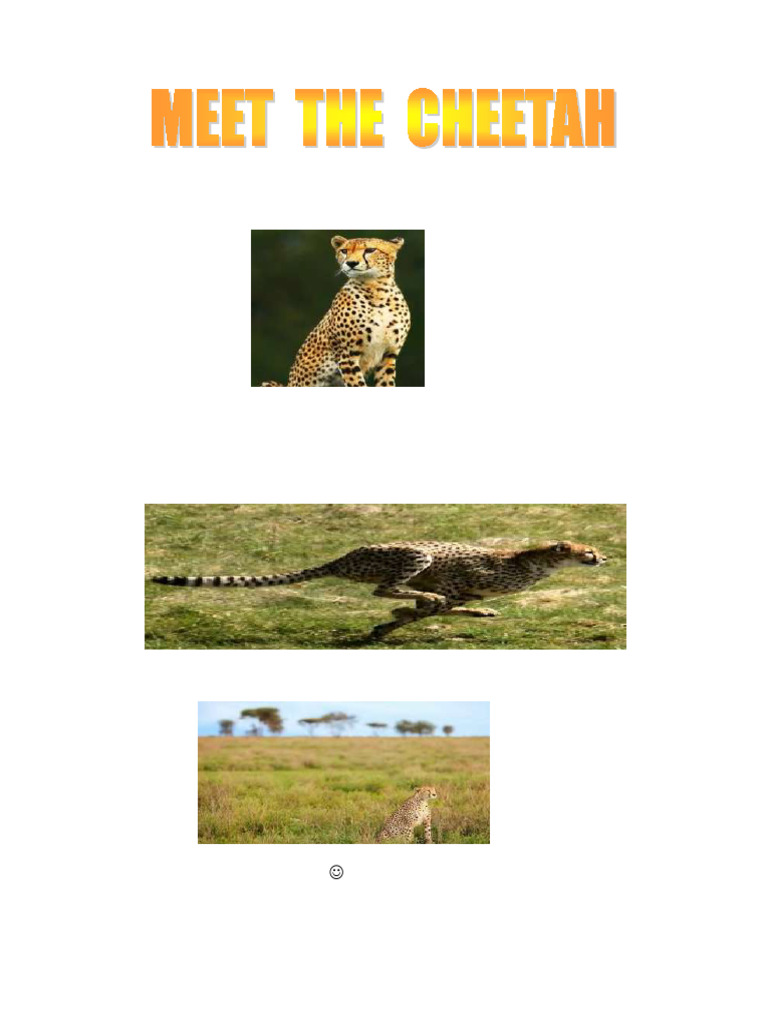 Cheetah Facts: The Fastest Land Animal | PDF