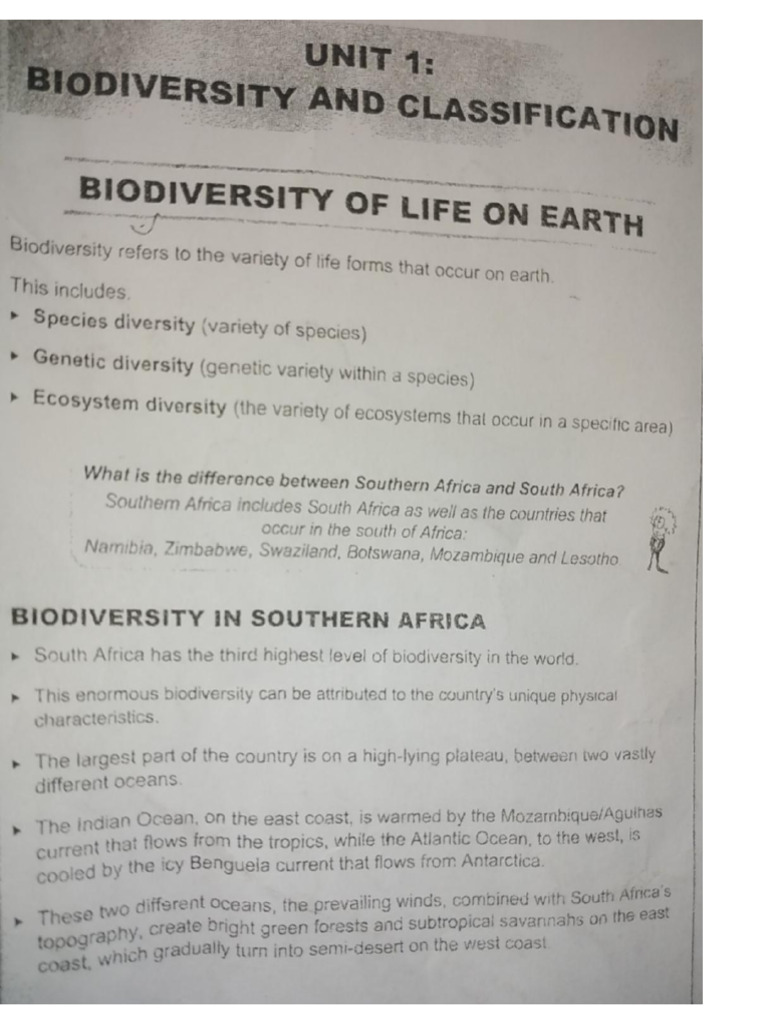 Life Science Term 4 Class Notes... Biodiversity and Classifications | PDF