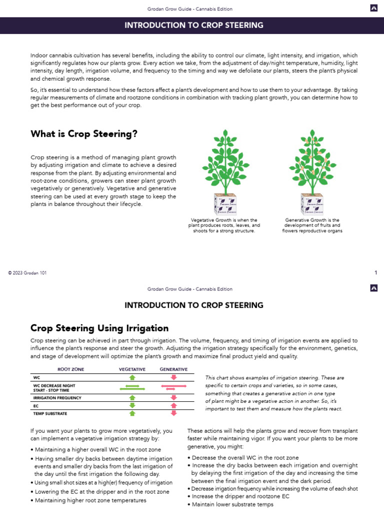 Crop Steering Techniques for Cannabis | PDF | Plants | Irrigation