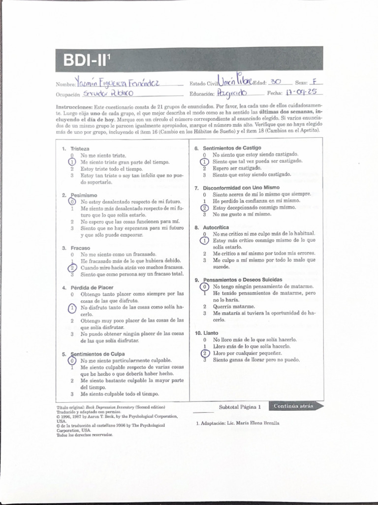 Bdi Ii' | PDF