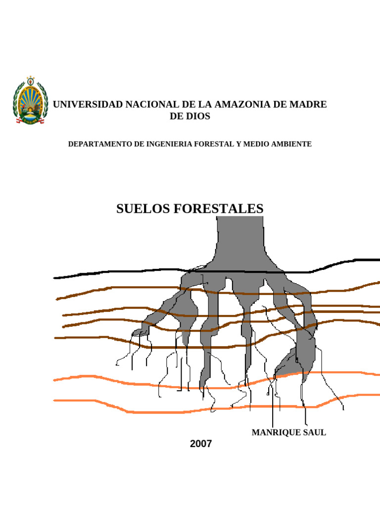 Genesis Del Suelo | PDF | Roca (geología) | Meteorización