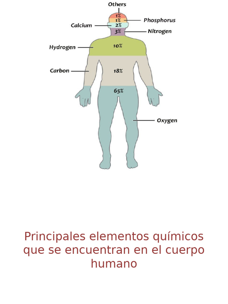 Principales Elementos Químicos Que Se Encuentran en El Cuerpo Humano ...