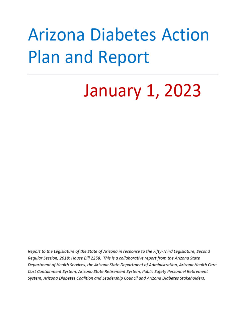 Diabetes Action Plan Report 2023 | PDF | Medicaid | Diabetes