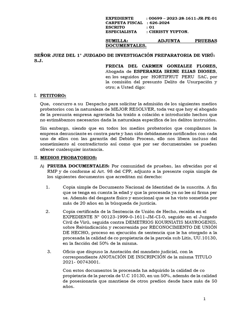 Docum para Mejor Resolver | PDF | Mandato | Separación de poderes