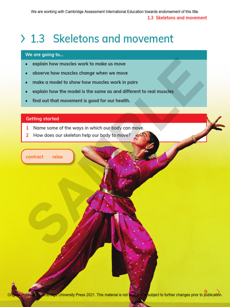 Understanding Muscles and Movement | PDF | Skeleton