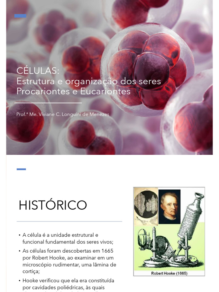 Estrutura e Tipos de Células Vivas | PDF | Célula (Biologia) | Membrana ...