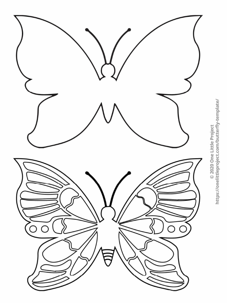 Butterfly Shape 2 | PDF