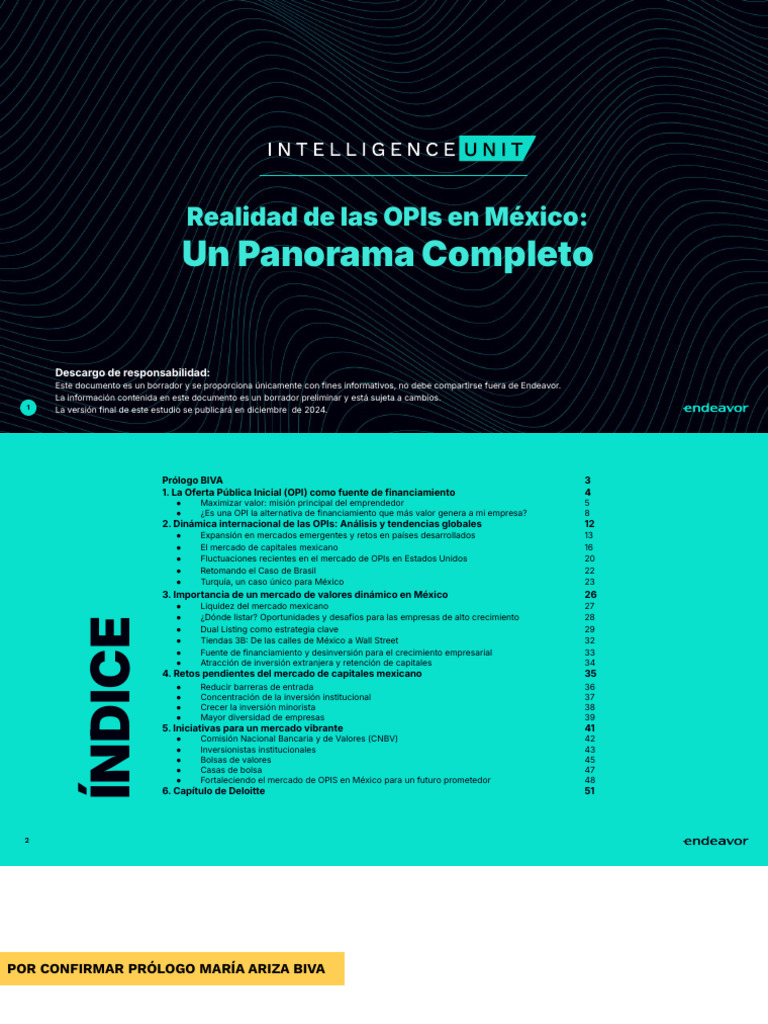 OPIs en México: Retos y Oportunidades | PDF | Bolsa | Business