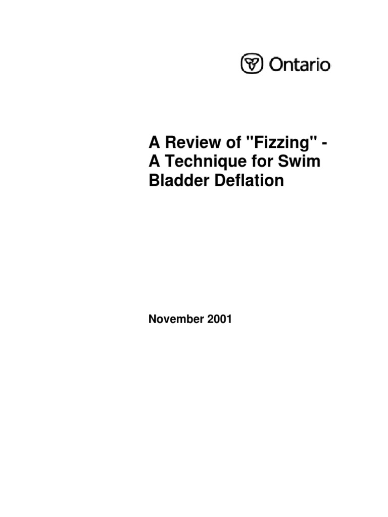FIZZING Swimm Bladder | PDF | Fish | Fish And Humans