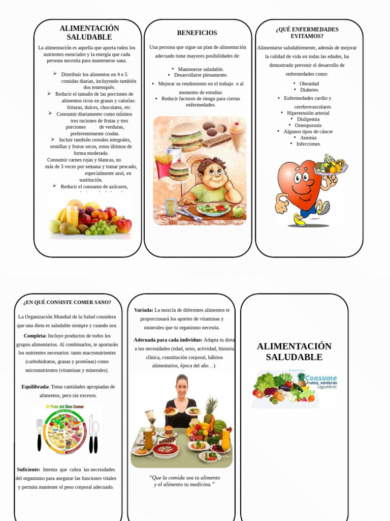 Triptico de La Alimentacion Saludable 5 | PDF | Alimentos | Dieta