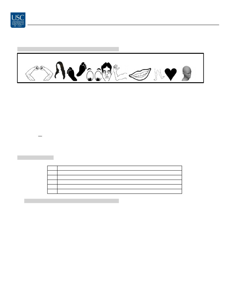 Understanding Physical Appearance | PDF