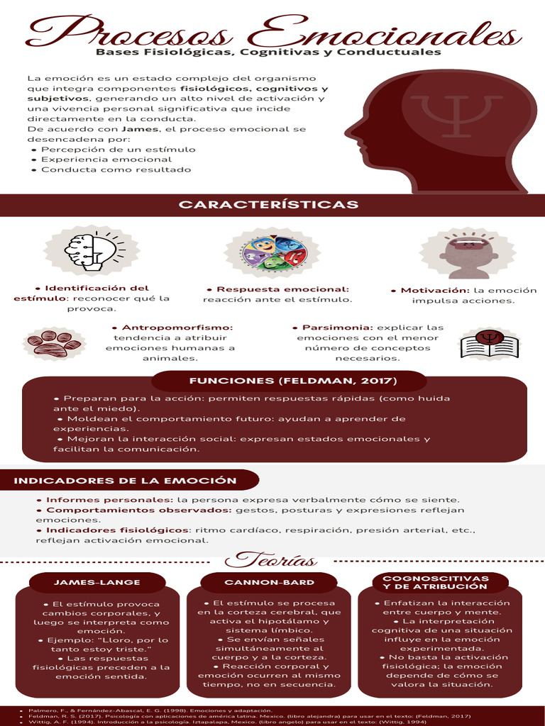 Procesos Emocionales PDF | PDF | Las emociones | Cognición