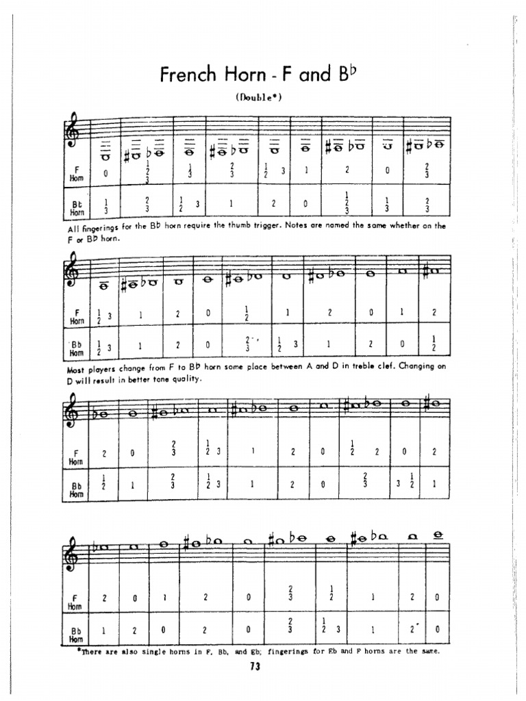 French Horn | PDF