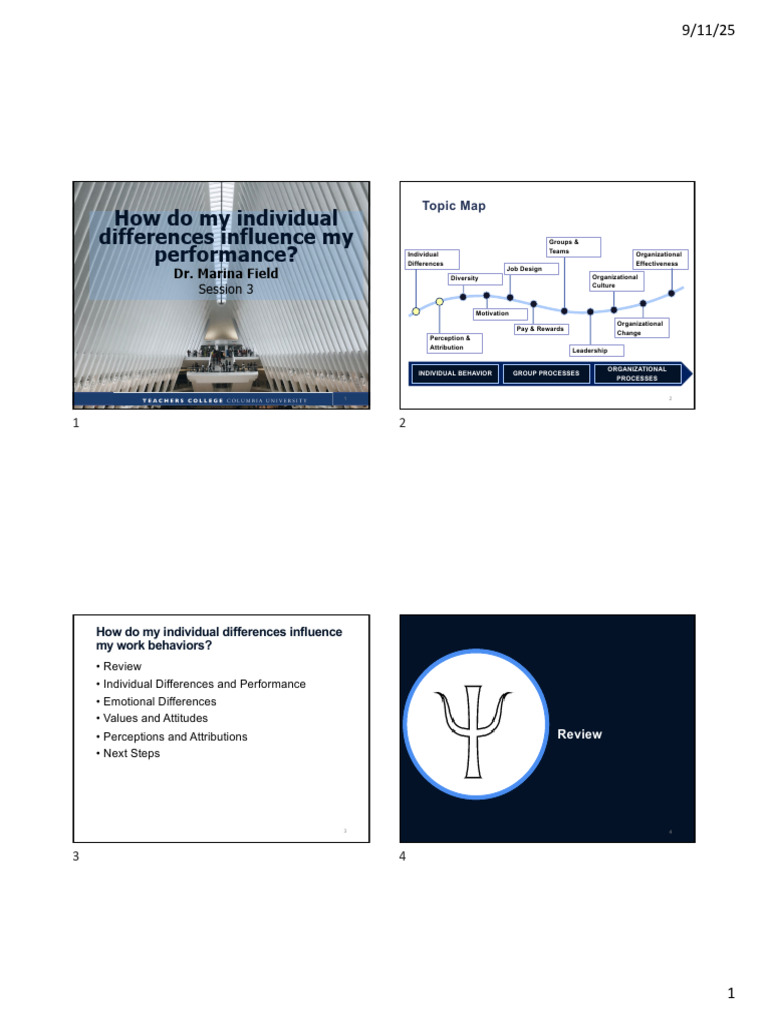 Individual Differences and Performance - S | PDF | Self Efficacy ...