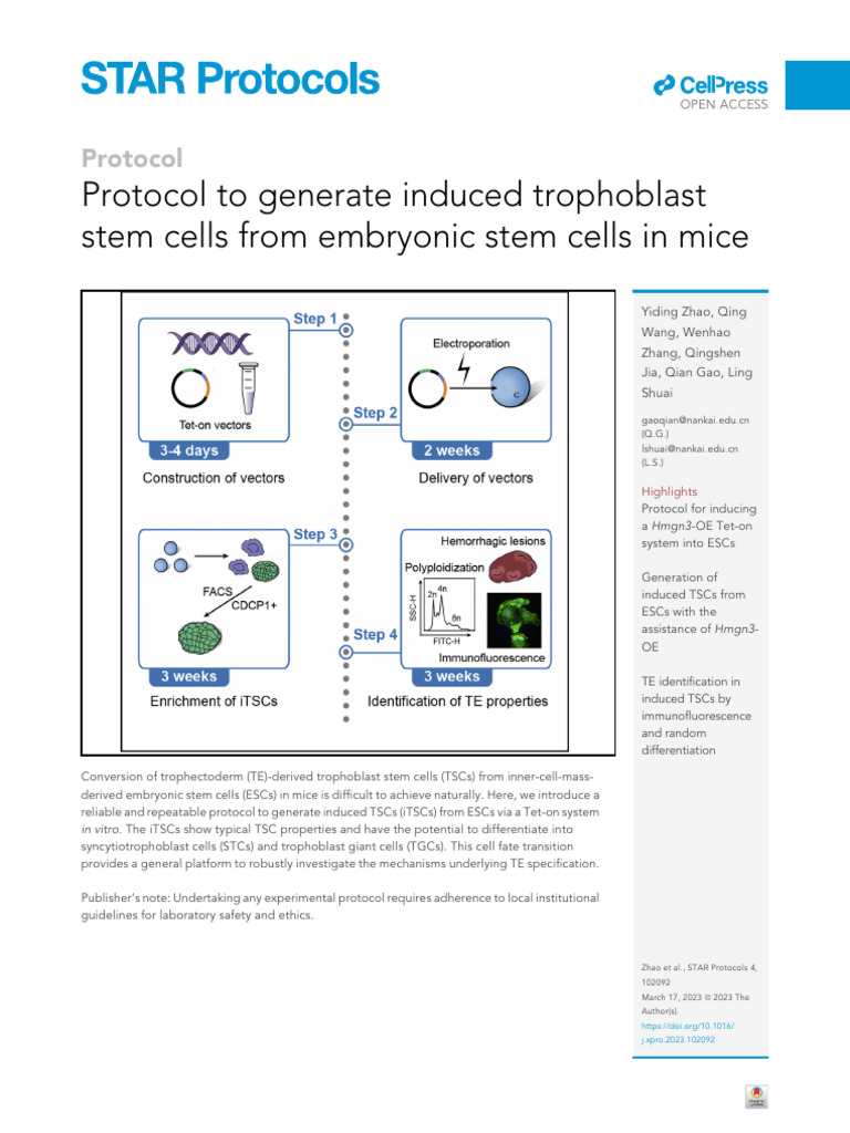 Protocol To Generate Induced Trophoblast Stem Cells From Embryonic Stem ...