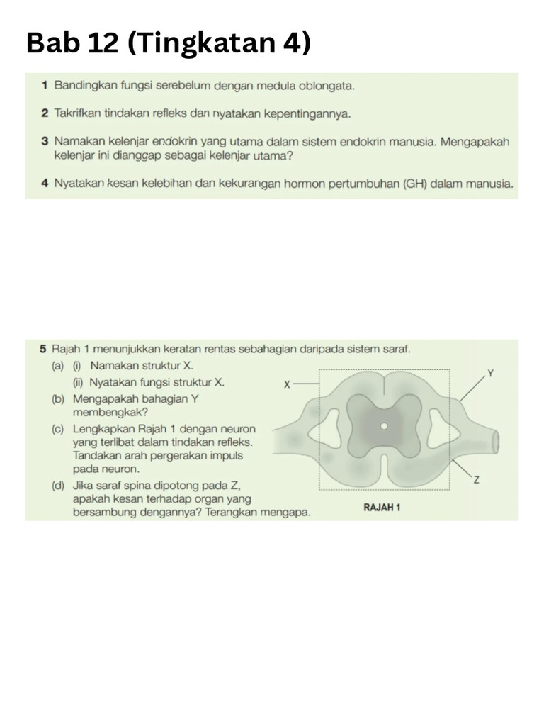 Ulangkaji Bab 12 Biologi Ting 4 Compressed - pdf-1 | PDF