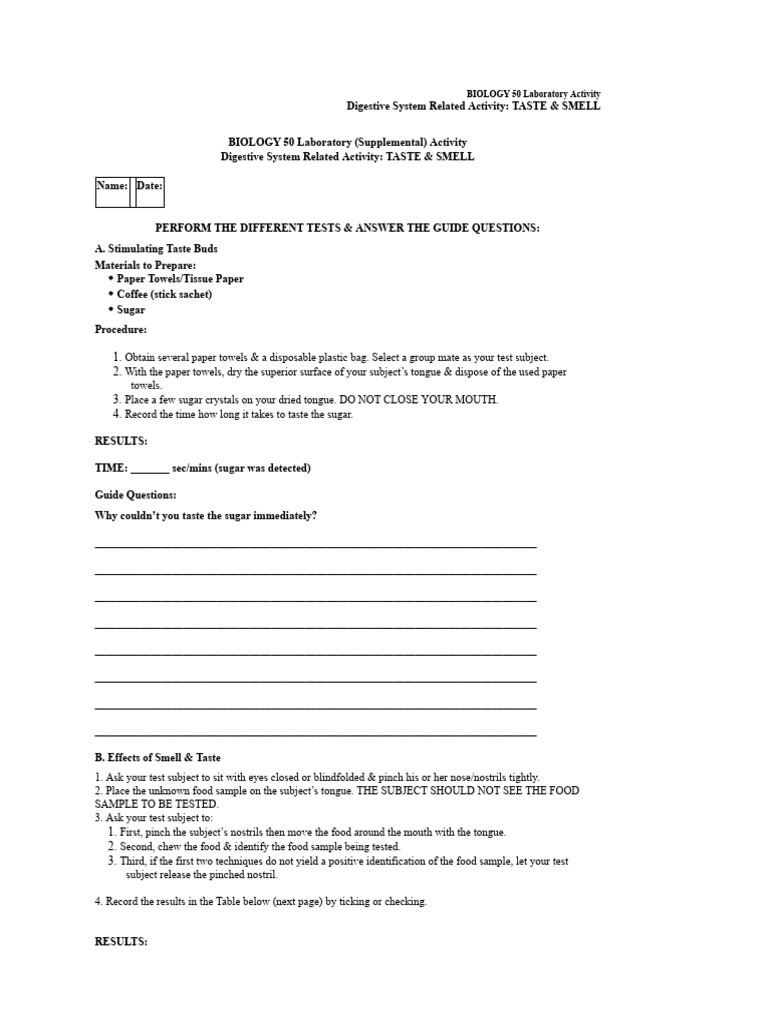 Supplemental Activity Digestive System | PDF | Taste | Foods