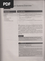 Labeled Rat Dissection Guide | PDF | Gastrointestinal Tract | Abdomen