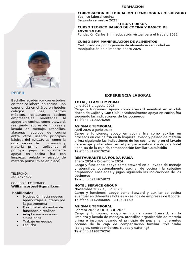 HDV WILLL Actualizada-1 | PDF | Aprendizaje