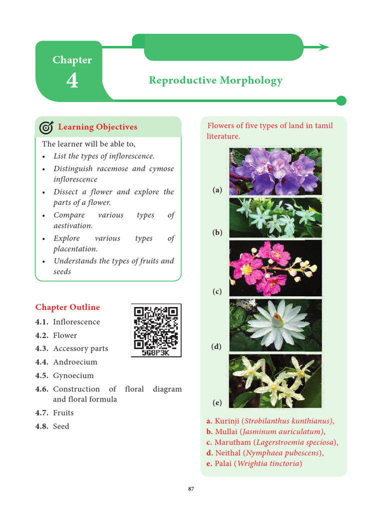 Types of Inflorescence and Flowers | PDF | Flowers | Botany