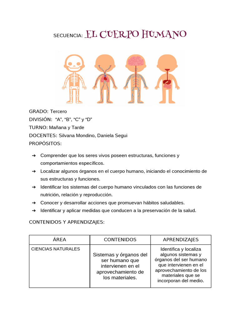 Aprendiendo sobre el Cuerpo Humano | PDF | Hueso | Nutrición