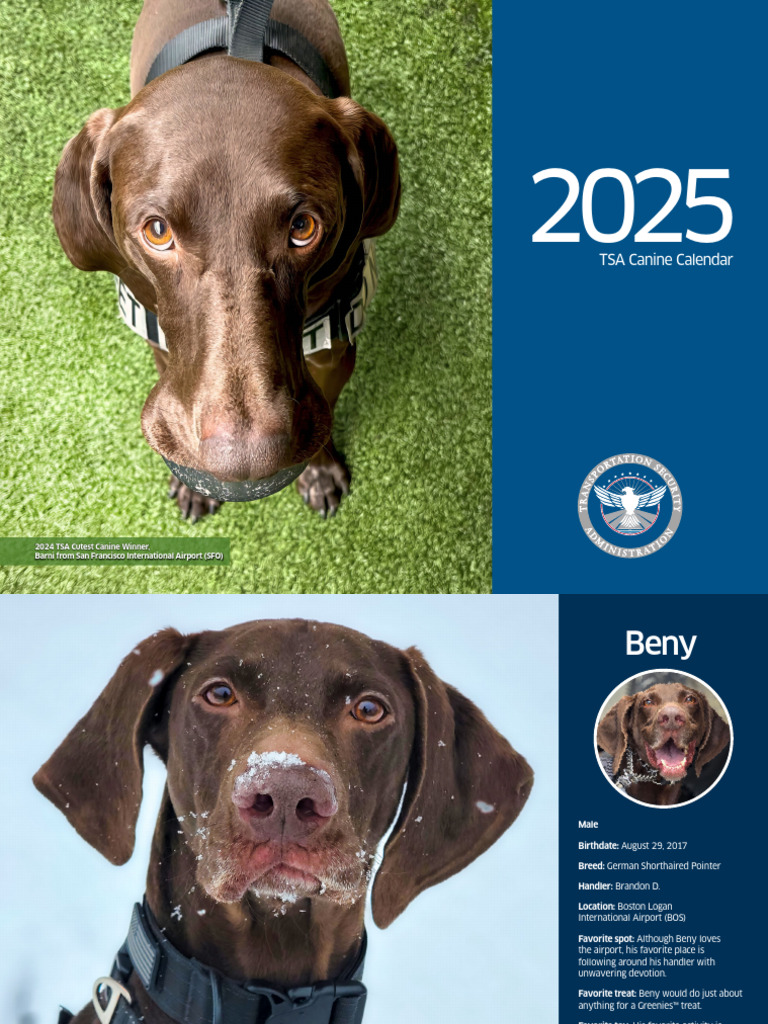 Tsa Canine Calendar 2025 | PDF | Transportation Security Administration