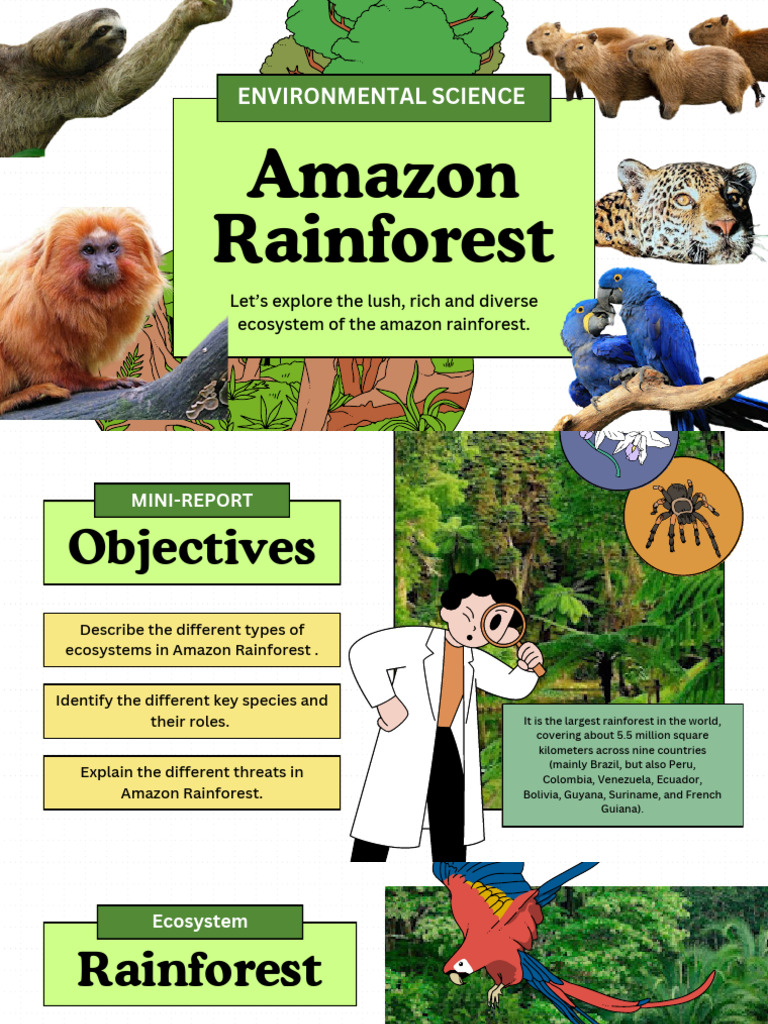 Amazon Rainforest Ecosystems & Threats | PDF | Rainforest | Amazon ...