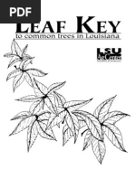 Tennessee Tree Identification Guide | PDF | Trees | Oak