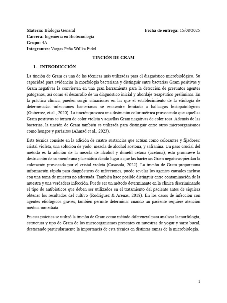 Modelo de Informe BioGen II-2025 | PDF | Las bacterias | Bacterias Gram Positivas