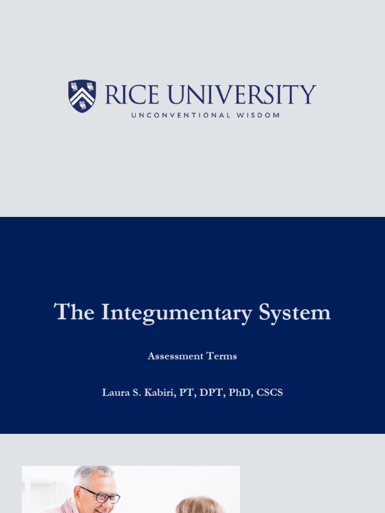 Handout-Integumentary Assessment Terms | PDF