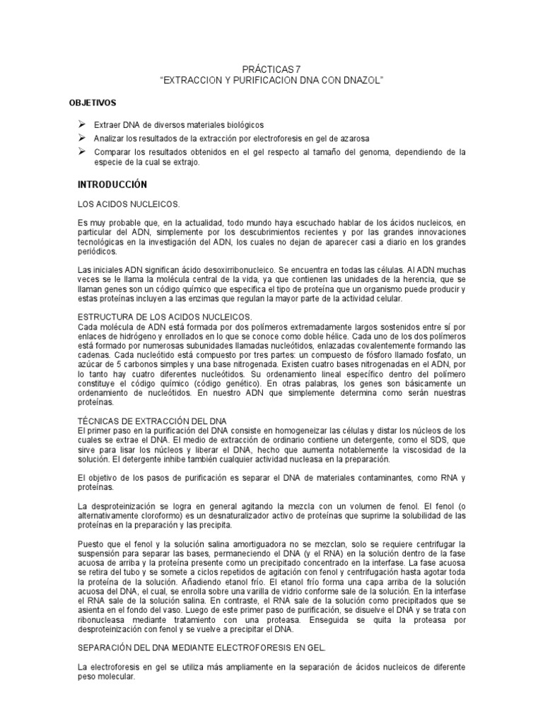 Extraccion de DNA Con DNAzol | PDF | Ácidos nucleicos | Adn