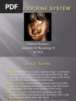 Endocrine System Matching Activity Answers | PDF