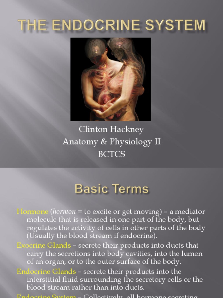 Clinton Hackney Anatomy & Physiology II Bctcs | Download Free PDF ...