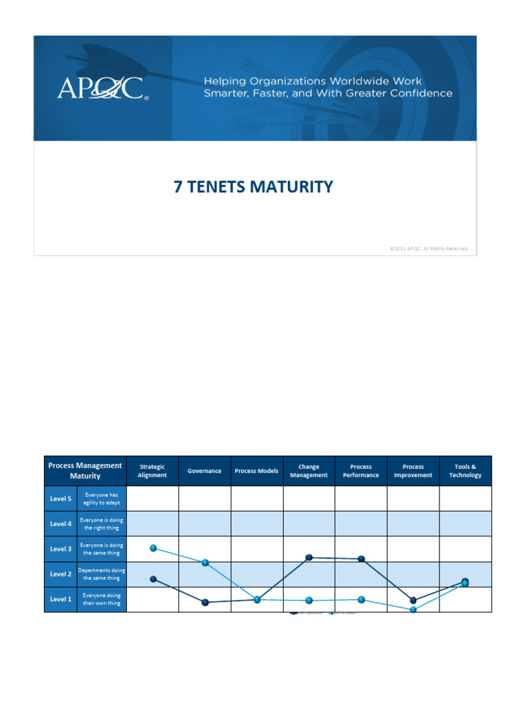 Process Management Maturity Levels | PDF | Business Process | Supply Chain