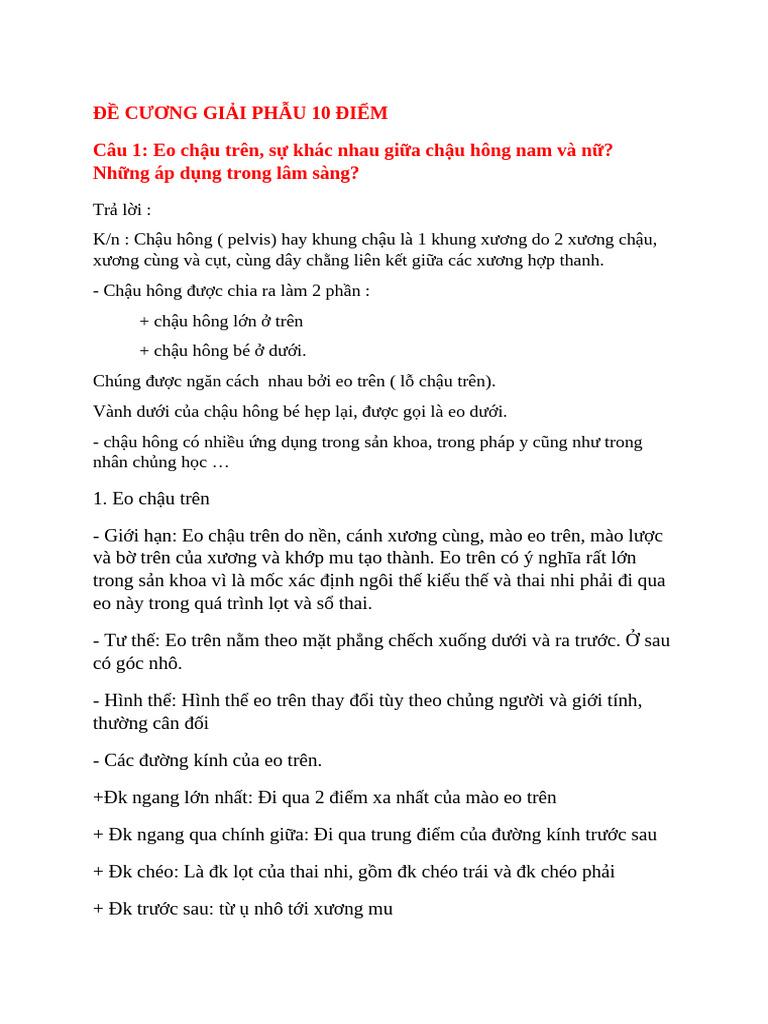 Đề Cương Giải Phẫu Công w (2) | PDF