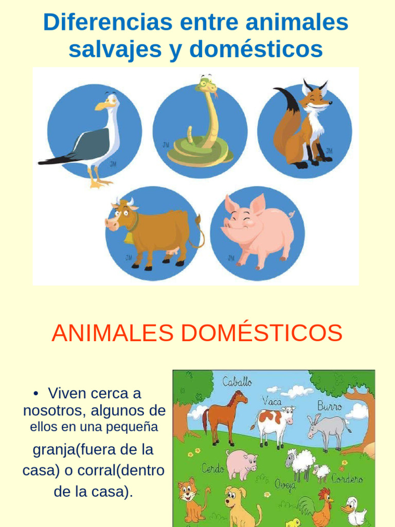 Diferencias Entre Los Animales Domesticos y Salvajes | PDF