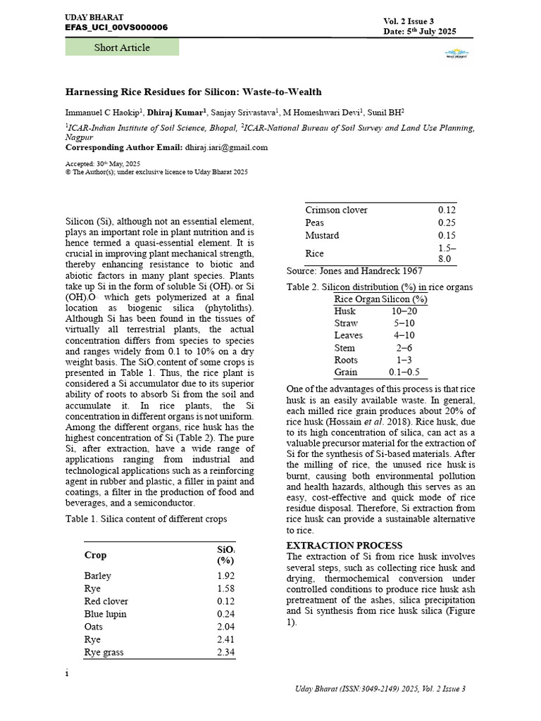 Rice Husk Silicon Extraction Process | PDF | Pyrolysis | Silicon Dioxide