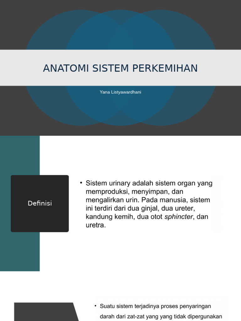 Anatomi - Sistem Perkemihan | PDF