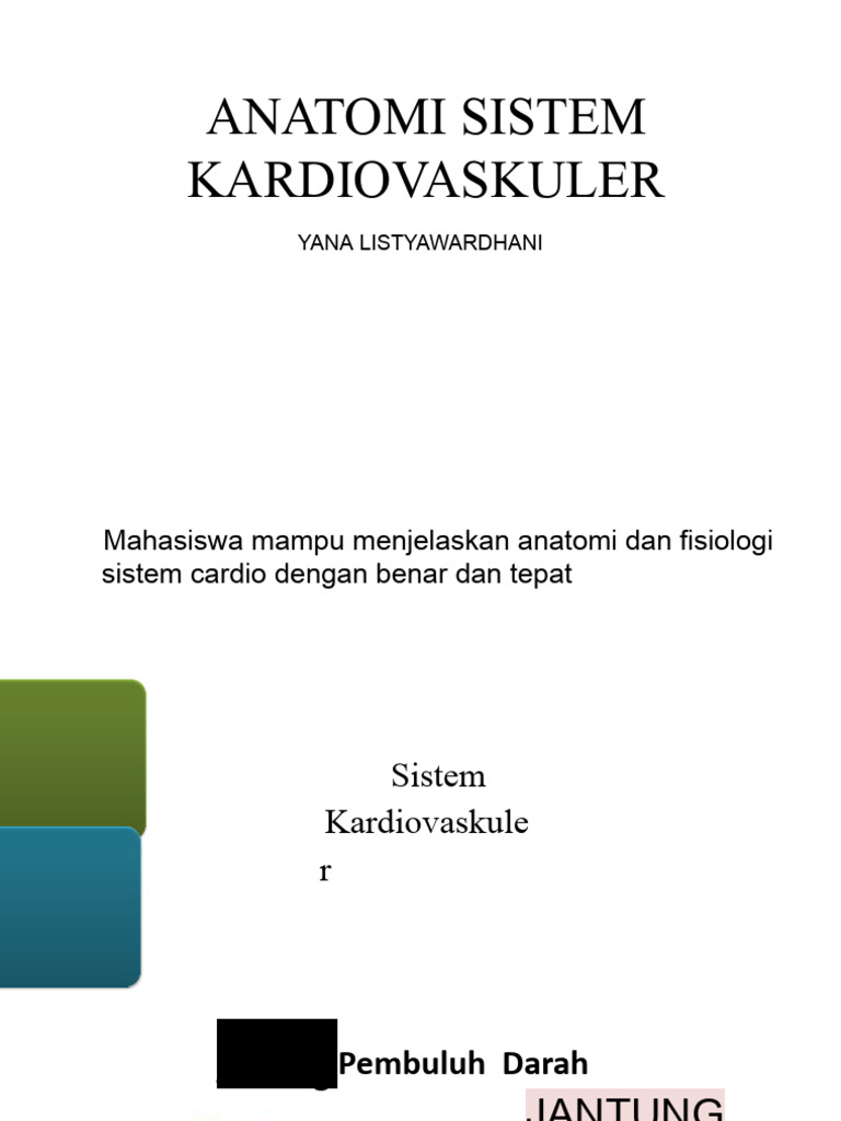 Anatomi - Sistem Kardiovaskular | PDF