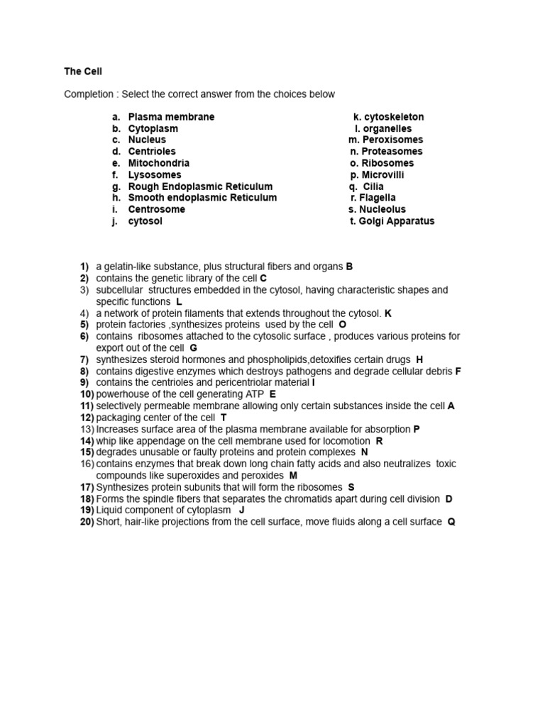 Cell Structure and Function Overview | PDF | Ribosome | Cell (Biology)