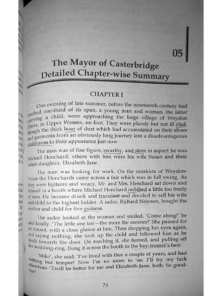 Mayor of Casterbridge Summary | PDF