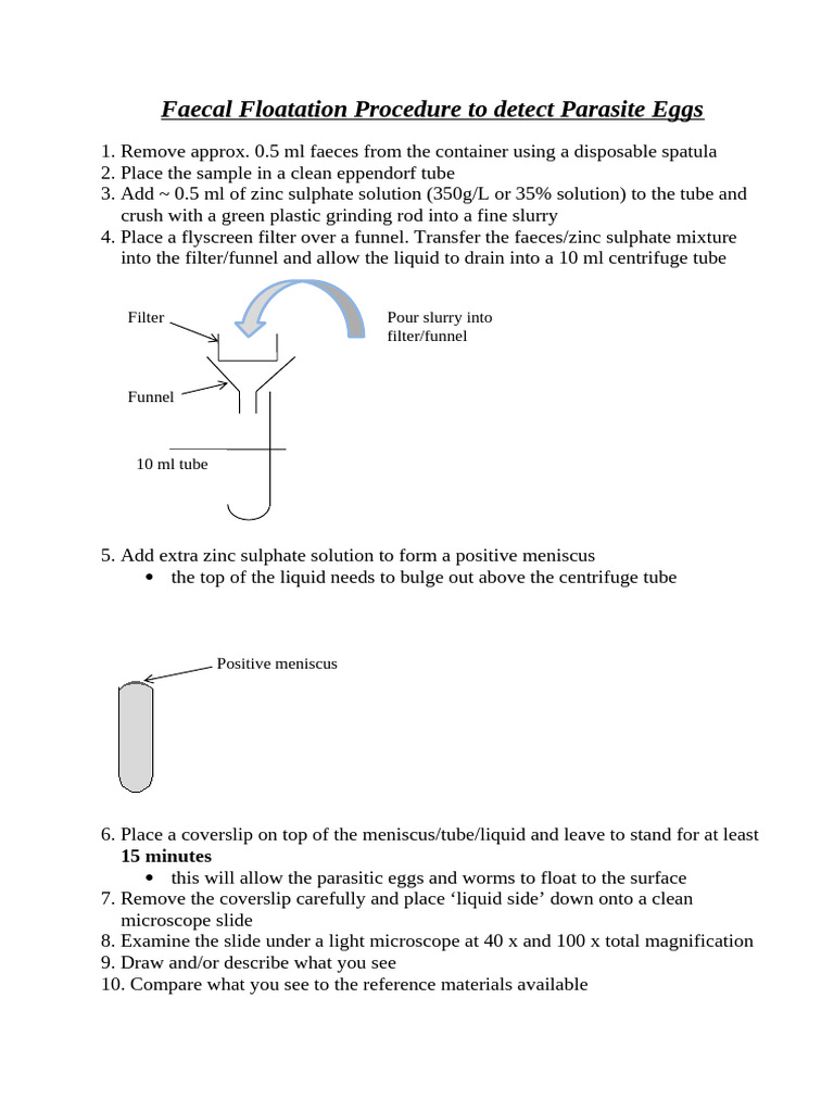 Faecal Floatation for Parasite Detection | PDF