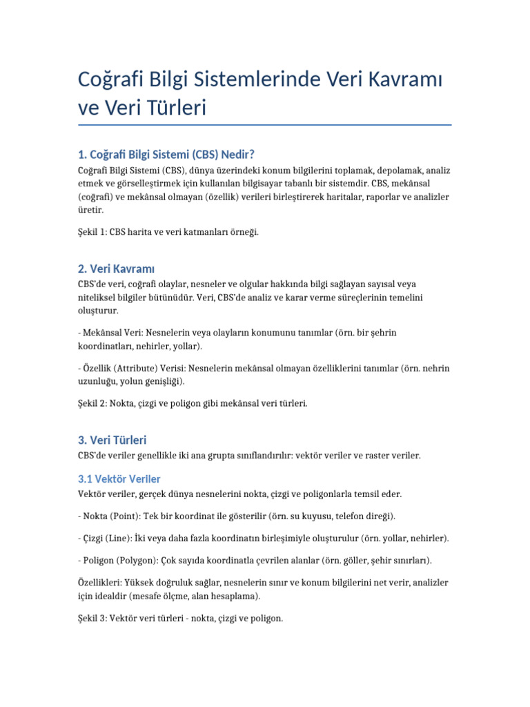 CBS Veri Turleri Odev | PDF