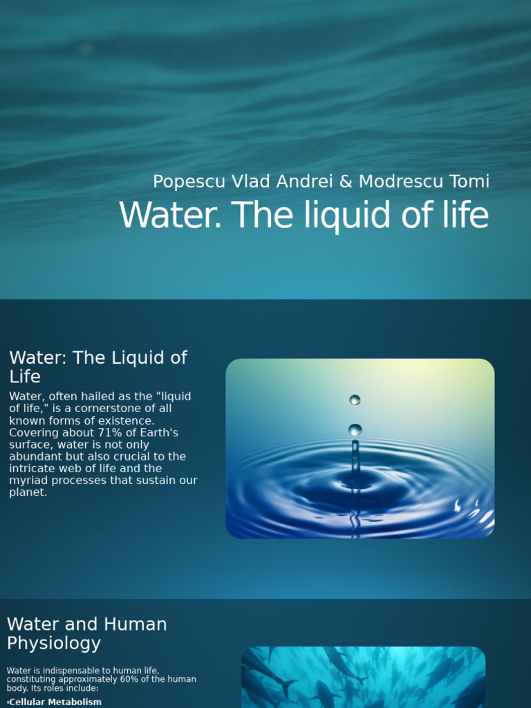 Importance of Water for Life | PDF | Water | Water Cycle