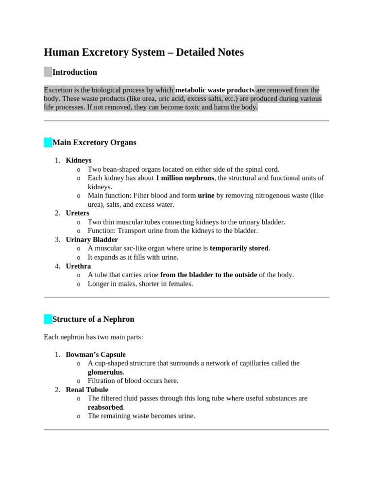 Biology Human Excretory System | PDF | Kidney | Urine