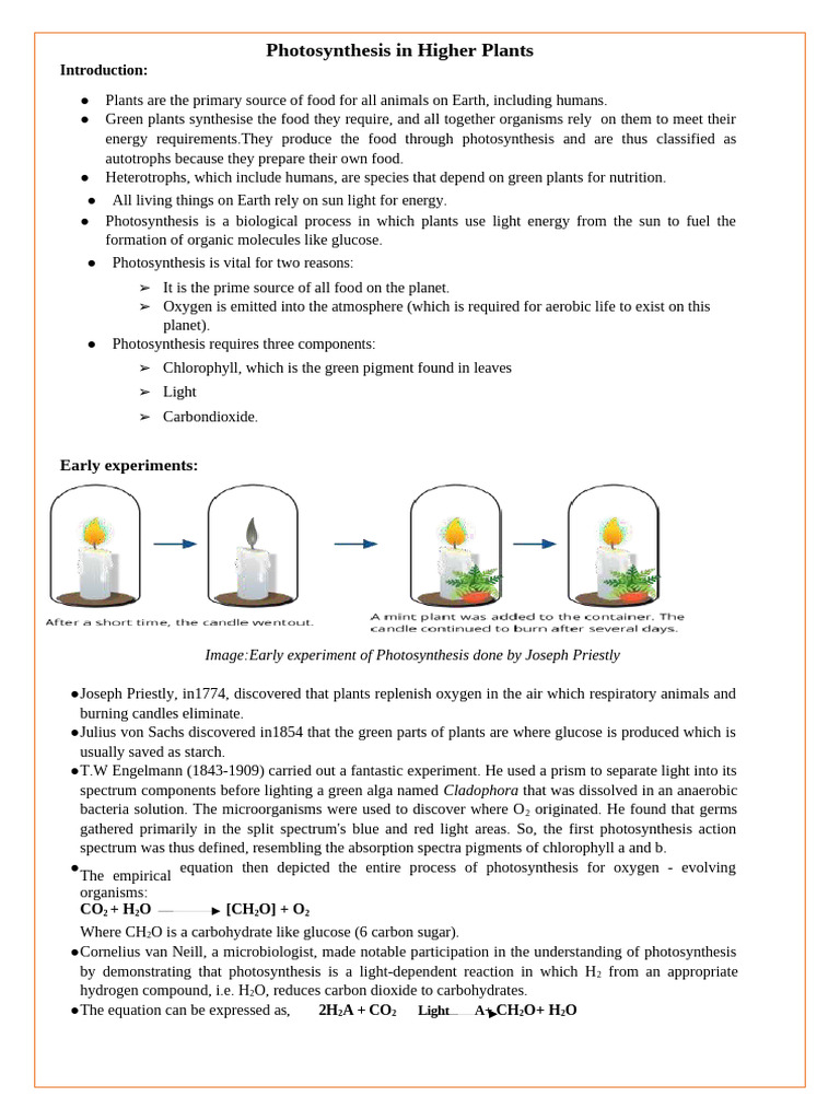 Photosynthesis Process in Plants Explained | PDF | Photosynthesis ...