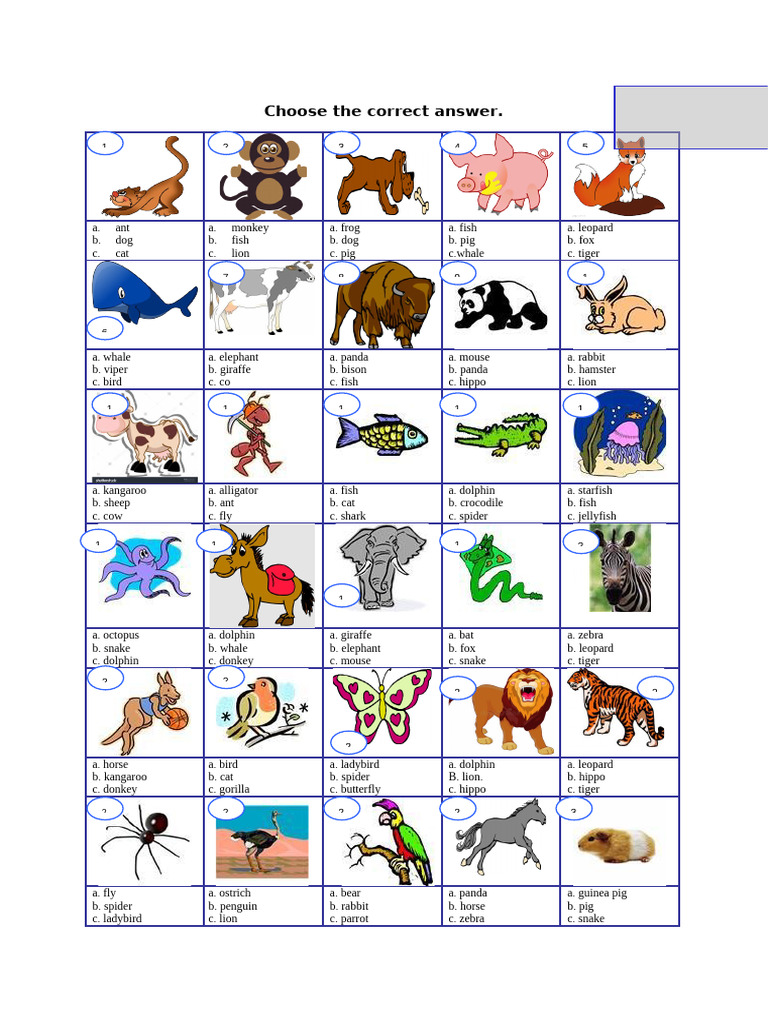 Animal Quiz Answers and Choices | PDF