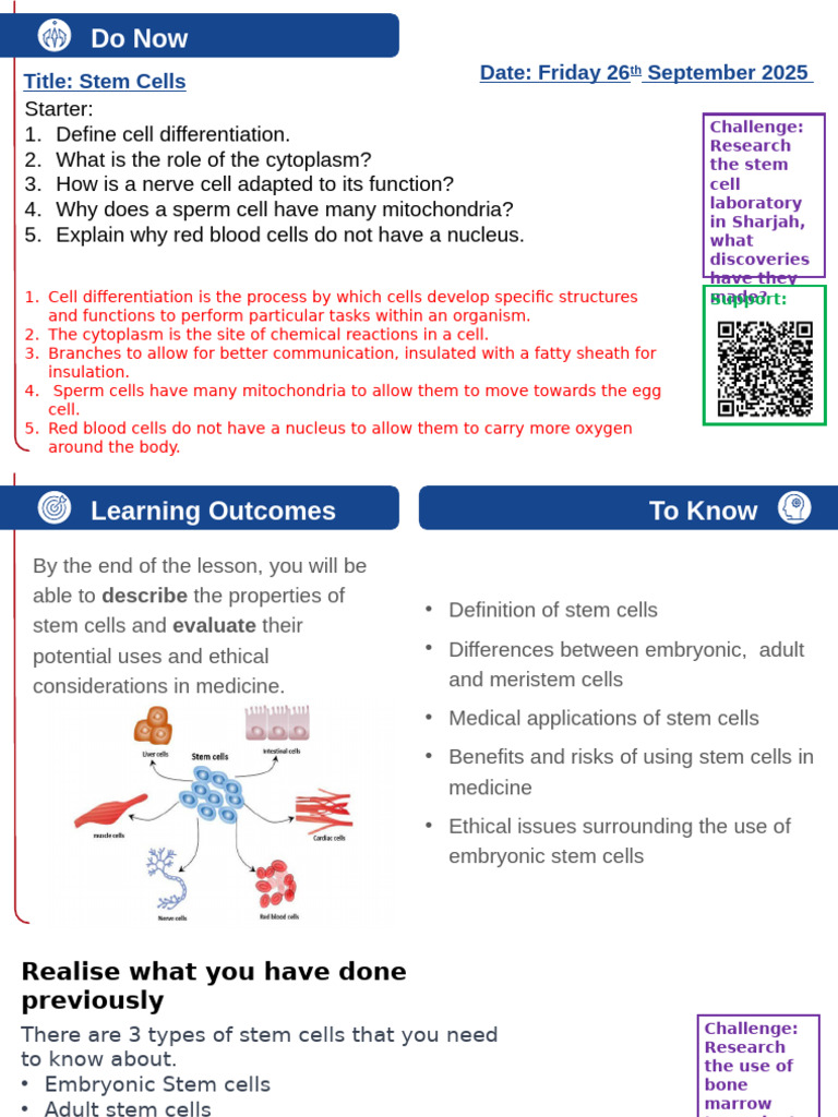 L3 Stem Cells - Students | PDF | Stem Cell | Cell (Biology)